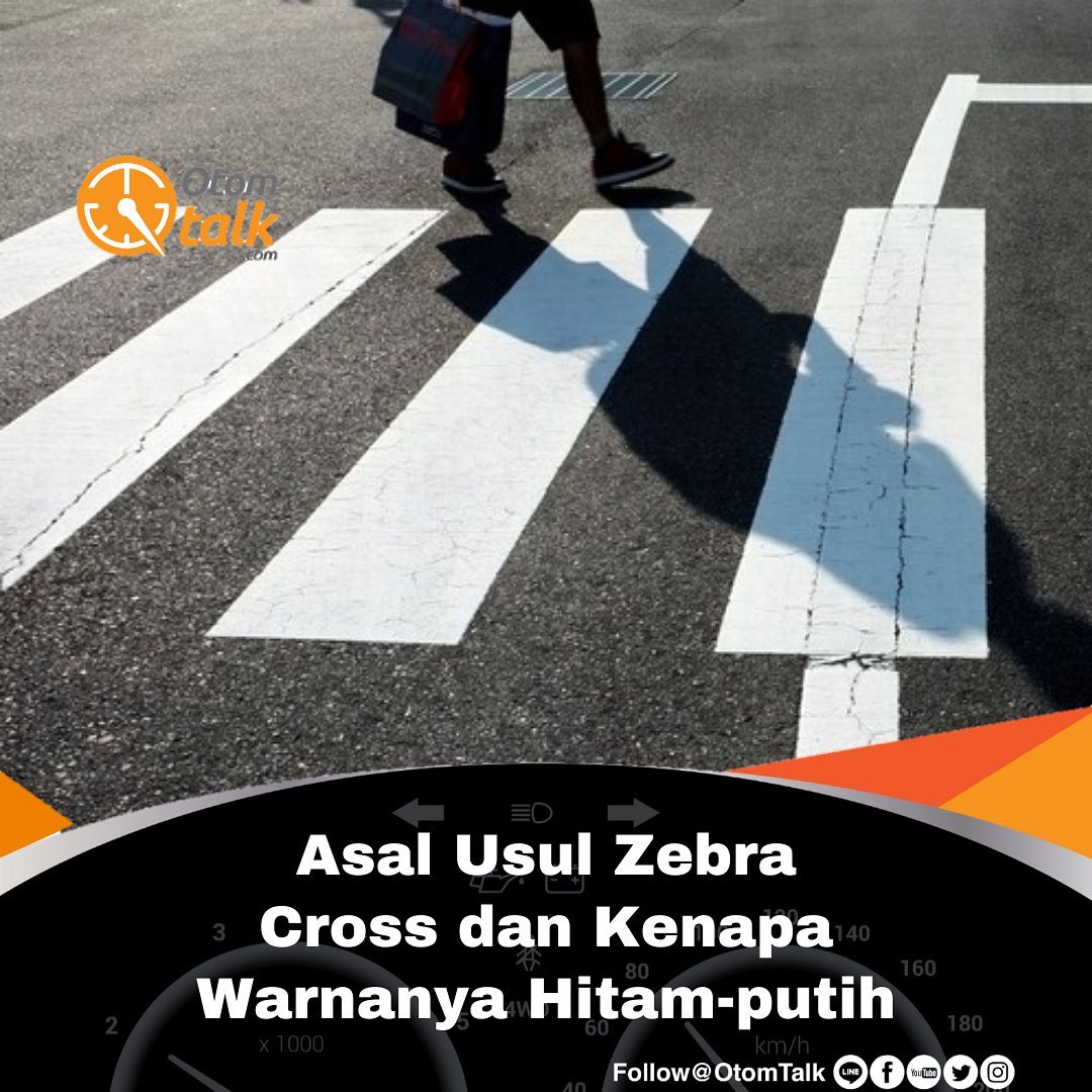 Asal Usul Zebra Cross dan Kenapa Warnanya Hitam-putih Meski ...